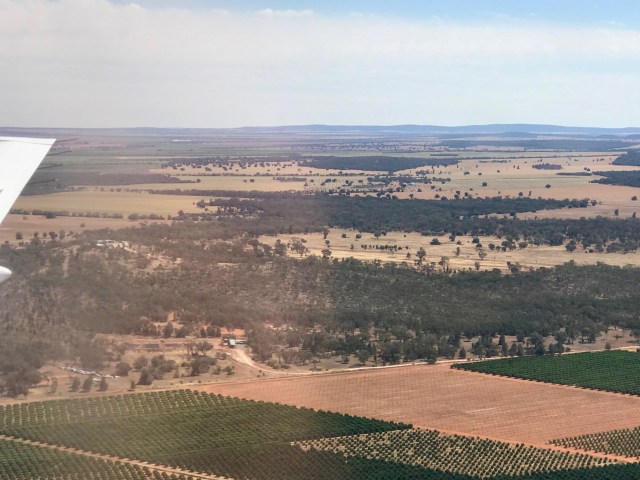 The Riverina Reconsidered: Part One: Small Producers Finding the ...